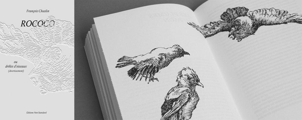 ROCOCO, BY FRANÇOIS CHASLIN: AN AWARD-WINNING BOOK ON ARCHITECTURE ...